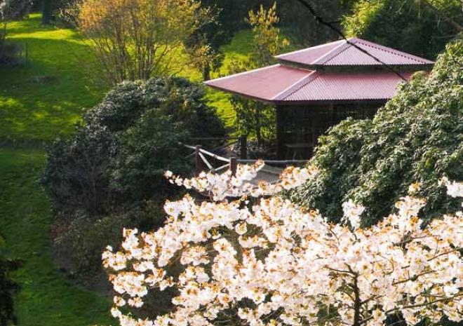 Tregothnan Open Weekend for Charity – CORNWALL FEDERATION OF WOMEN'S ...