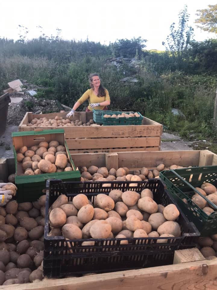 A New Gleaning Network in Cornwall – CORNWALL FEDERATION OF WOMEN'S ...