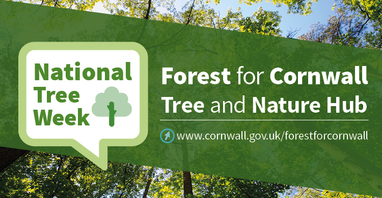 Forest for Cornwall – CORNWALL FEDERATION OF WOMEN'S INSTITUTES