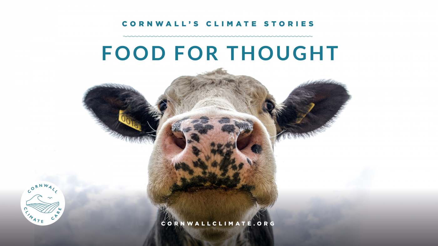 New Farming Documentary Available from Cornwall Climate Care – CORNWALL FEDERATION OF WOMEN'S ...