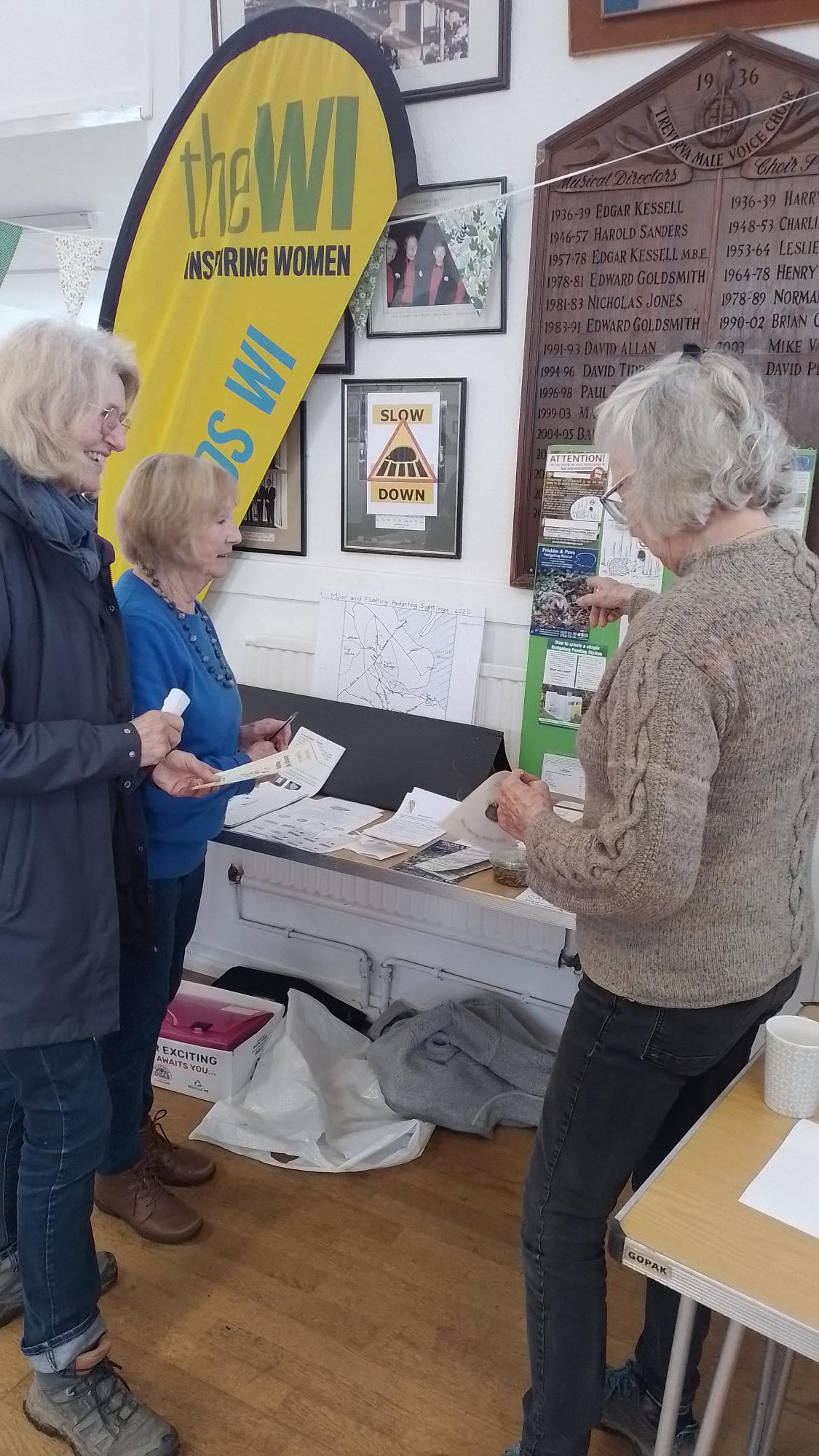 Mermaids: Mylor and Flushing WI is Going Green! – CORNWALL FEDERATION ...