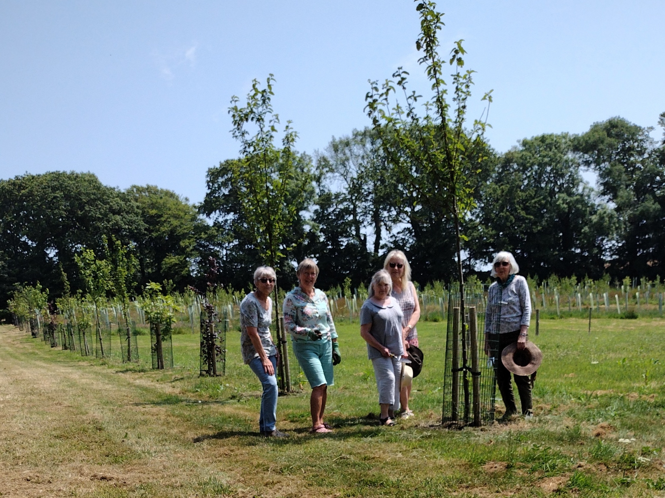 Help Forest for Cornwall! – CORNWALL FEDERATION OF WOMEN'S INSTITUTES