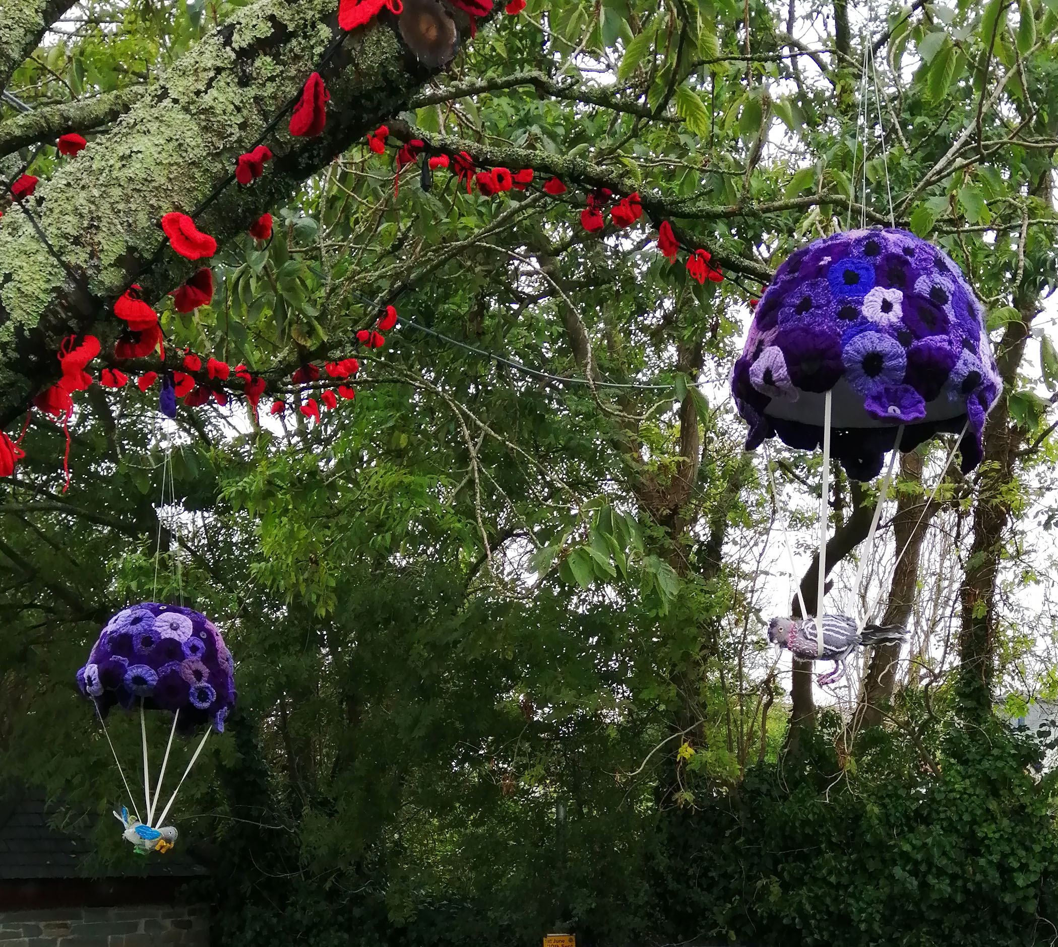 Crantock WI’s Poppy Display Grows! – CORNWALL FEDERATION OF WOMEN'S ...